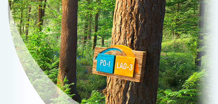 Opdualag® (nivolumab and relatlimab-rmbw) | Healthcare Professional Website